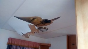 Caravan Wall Boards Ceiling Panels Static Caravans